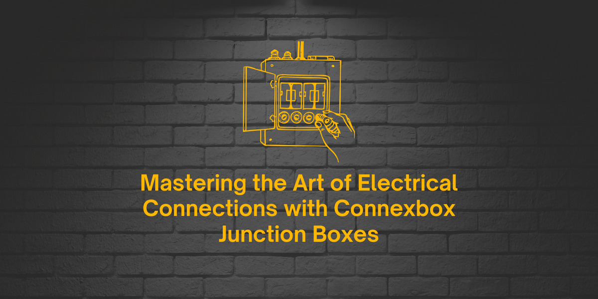 A guide to the original Wagobox, 221-4 Wagobox and the Wagobox Light ...
